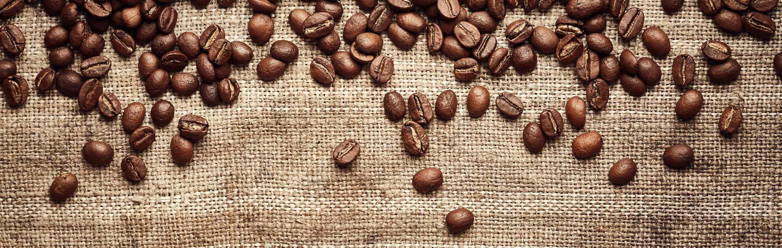 All about us - Meet the Treasure Valley Coffee Team!